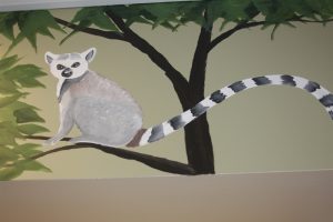 A Bright Future Pediatrics, Plano, Texas, Lemur Mural | A Bright Future ...